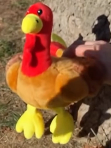 Turkey | SMLYTP Wiki | Fandom