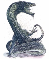 Linnorm | Smokeły Wikia | Fandom