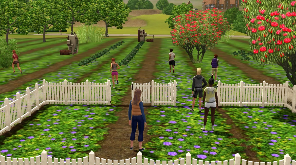 Missions/Fruit Squasher | Smole (Sims 3) Wiki | Fandom