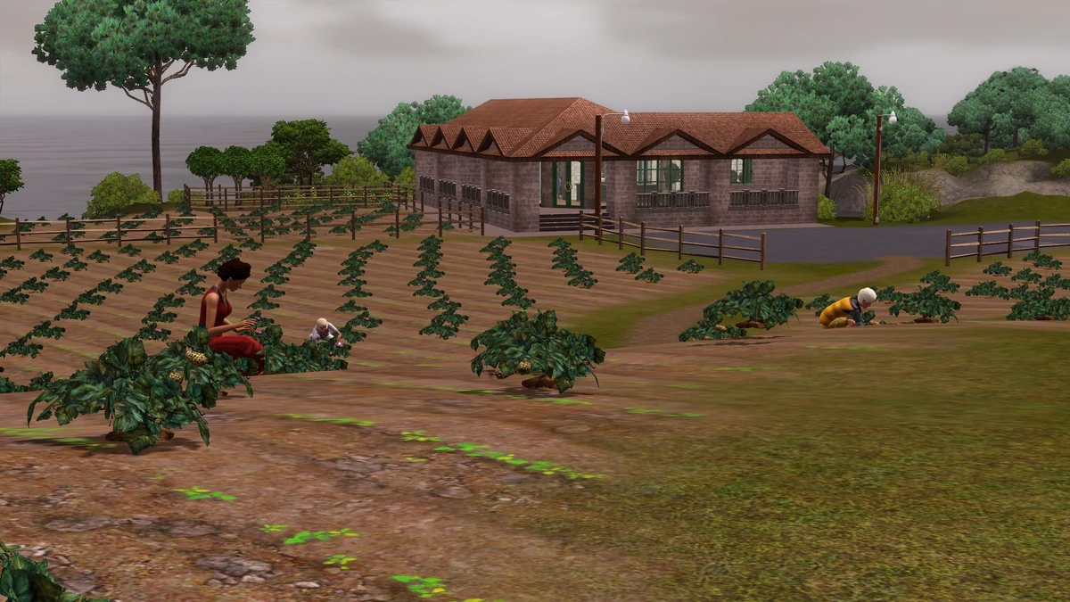 Missions/The Final Quiz | Smole (Sims 3) Wiki | Fandom