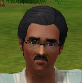 Sanjay Vikram | Smole (Sims 3) Wiki | Fandom
