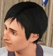 Hall of Fame/Season 13 | Smole (Sims 3) Wiki | Fandom