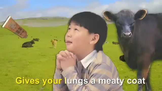 Smosh - Beef 'n Go Theme Song (contest winner) | Smosh Wiki | Fandom