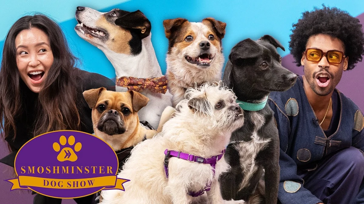 Who Has The Best Dog? | Smosh Wiki | Fandom