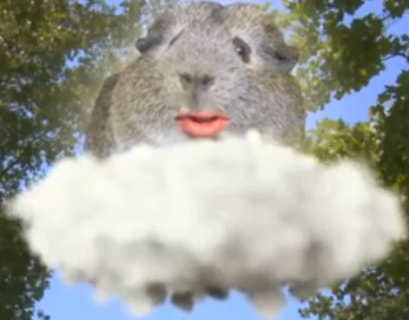 Charlie the Drunk Guinea Pig (character) | Smosh Wiki | Fandom