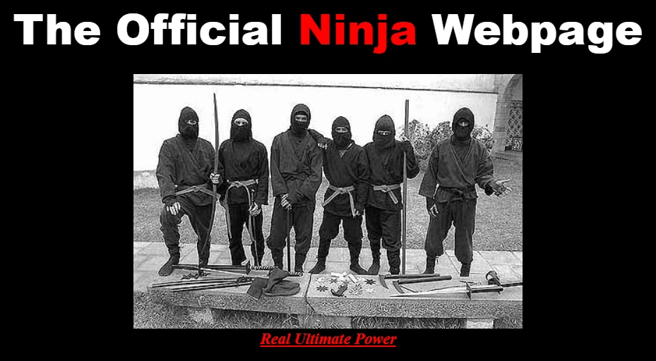 The Official Ninja Webpage: Real Ultimate Power | Smosh Wiki | Fandom