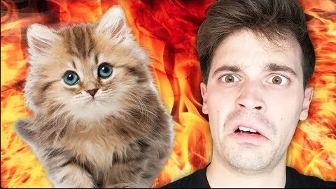 SHAYNE & DAMIEN'S KITTEN TROUBLE | Smosh Wiki | Fandom