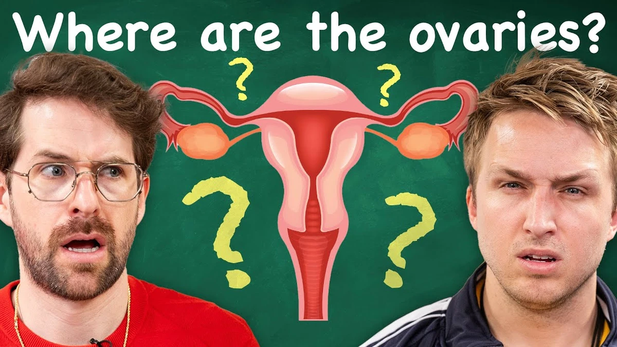 Do Men Know Reproductive Anatomy? | Smosh Wiki | Fandom
