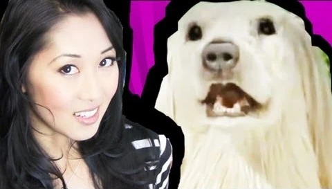CREEPY JAPANESE DOG ATTACK!!! | Smosh Wiki | Fandom