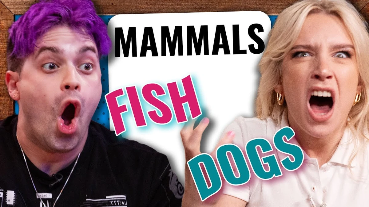 Yelling: The Game (Board AF: Anomia) | Smosh Wiki | Fandom