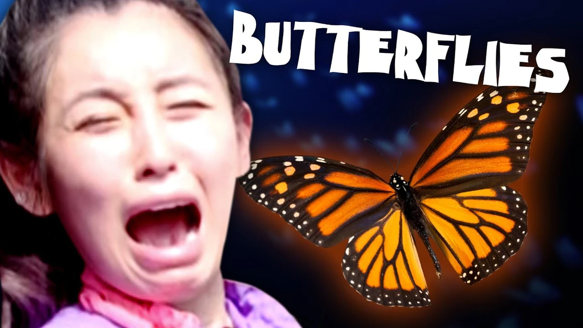 Olivia Faces Her Fear of Butterflies | Smosh Wiki | Fandom