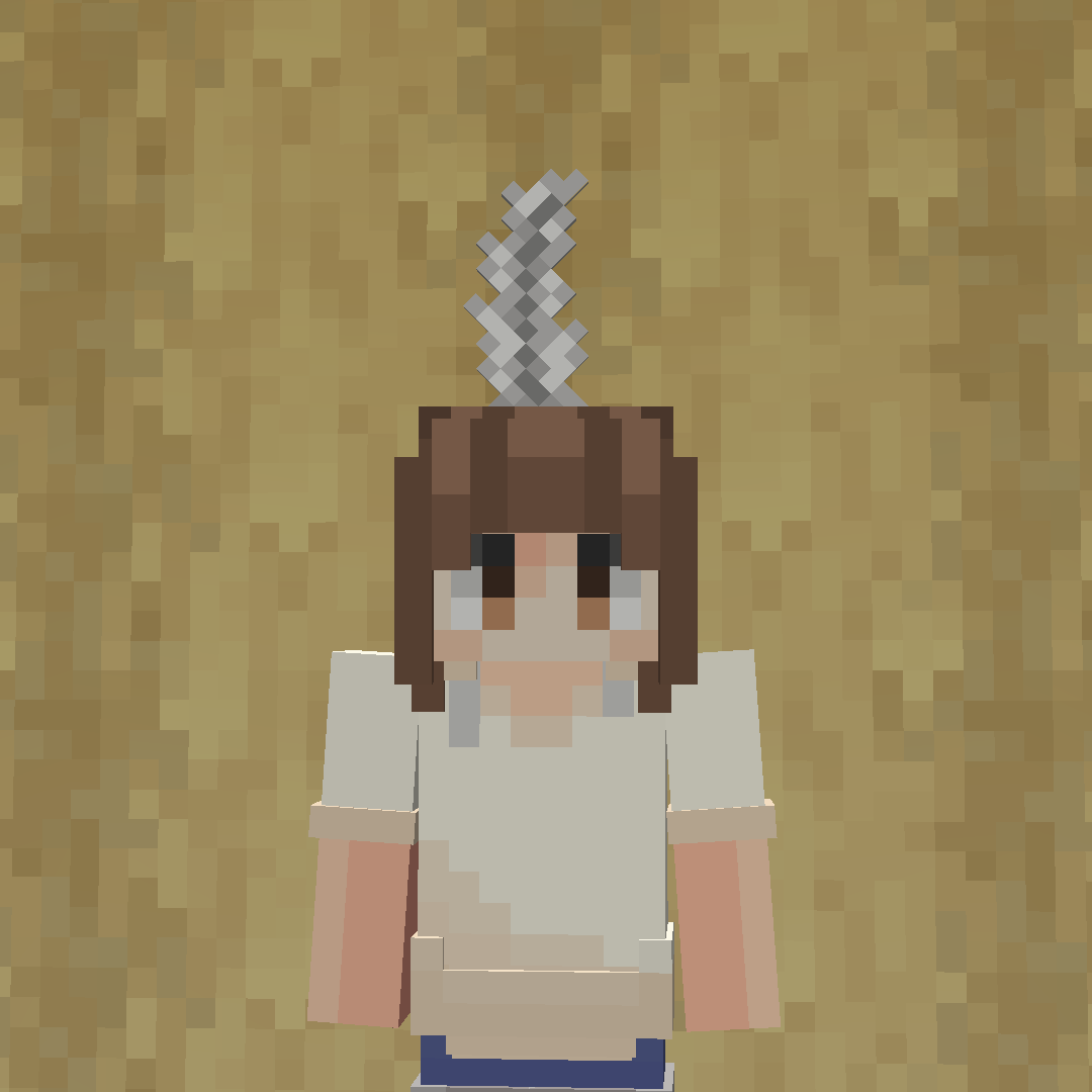 Hats | SMP Online Wiki | Fandom