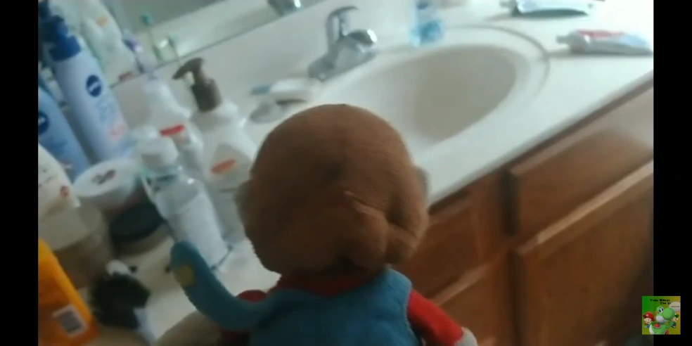 Wash Your Hands | Super Mario Plush Wiki | Fandom