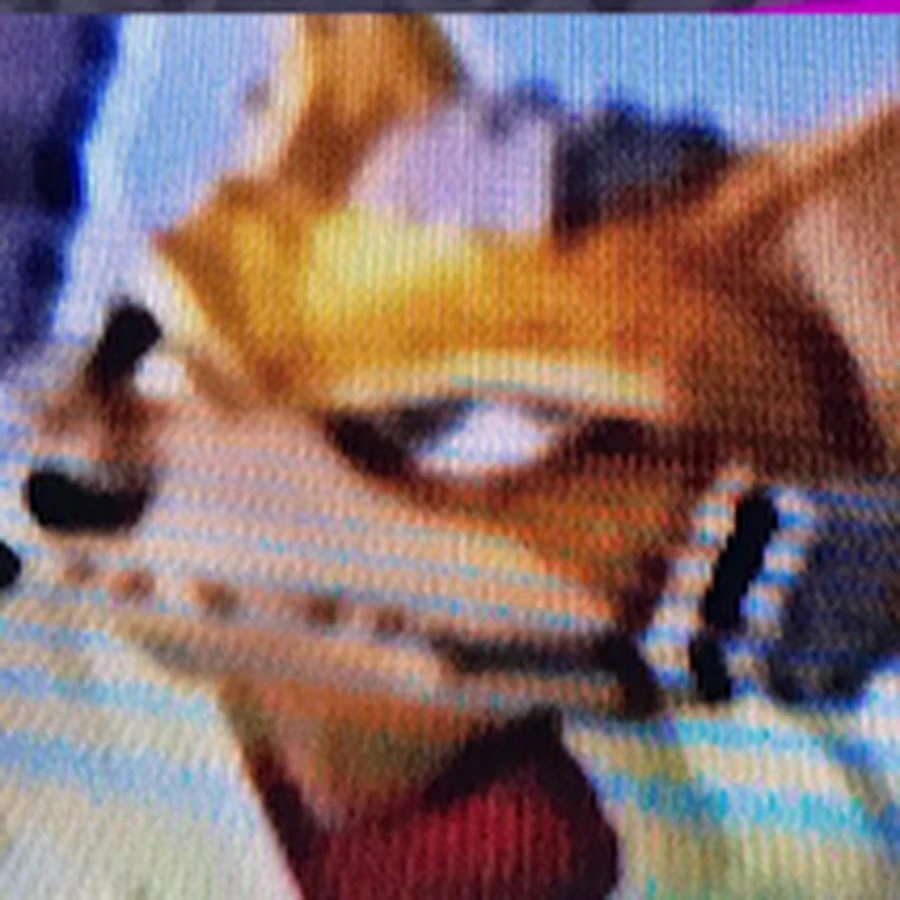 Timotainment | SMPEarth Wiki | Fandom