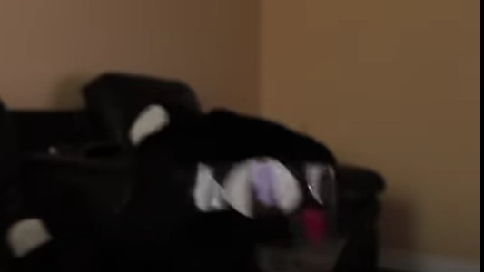 Cartoon Cat | Super Mario Richie Wiki | Fandom