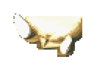 Neosquid | Super Mario RPG: Armageddon Wiki | Fandom