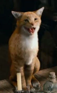 Azrael | Smurfs Wiki | Fandom