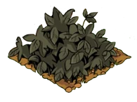 Crops | Smurfs' Village Wiki | Fandom