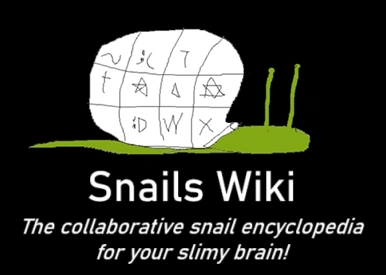 Sea snail | Snails Wiki | Fandom