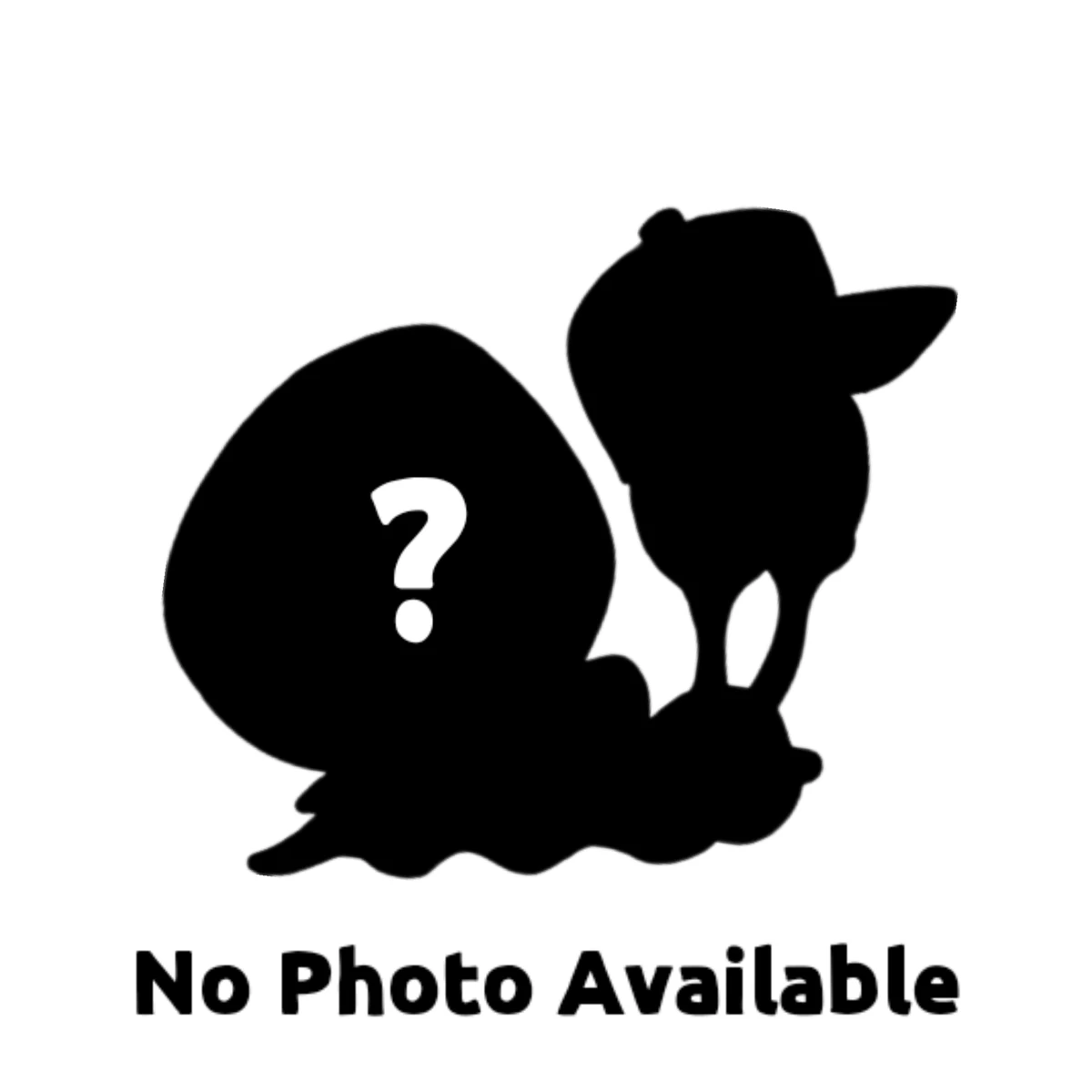 The Snails | Snail Bob Wiki | Fandom