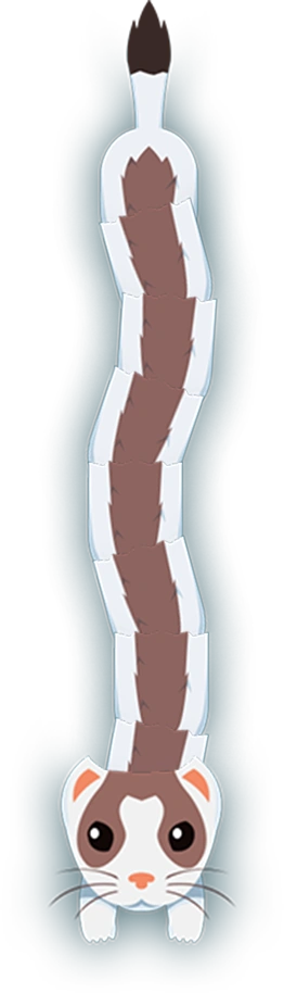 Coco | SnakeIO Wiki | Fandom