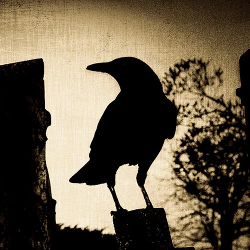 The Curse | Snap Judgement Presents: Spooked Wiki | Fandom