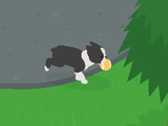 Dog | Sneaky Sasquatch Wiki | Fandom