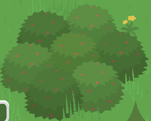 Bush | Sneaky Sasquatch Wiki | Fandom