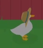 Farm Duck | Sneaky Sasquatch Wiki | Fandom