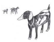 Poison for Breakfast | Lemony Snicket Wiki | Fandom