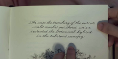 Beatrice Baudelaire | Lemony Snicket Wiki | Fandom