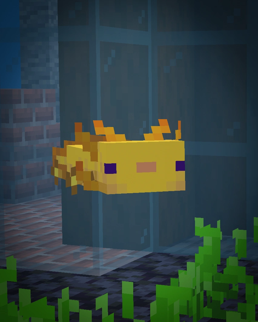 Piffy the Axolotl | SniffSMP Wiki | Fandom