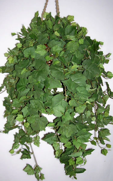 Airdirt | Sniglets Wiki | Fandom