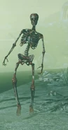 Skeleton | Sniper Elite Wiki | Fandom