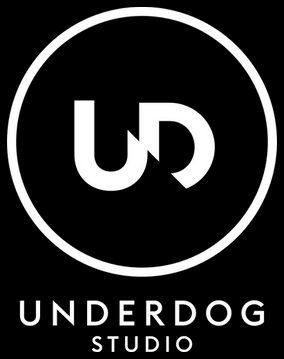 Underdog Studio | Sniper: Ghost Warrior Wiki | Fandom