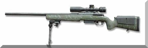 C3A1 | Sniper Rifle Wiki | Fandom