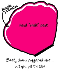 Puffapods | SnitchSeekerRPG Wiki | Fandom