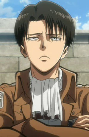 Levi | Shingeki no Kyojin Wikia | Fandom
