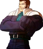 Maxima | SNK Wiki | Fandom