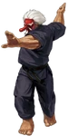 Honki ni Natta Mr. Karate | SNK Wiki | Fandom