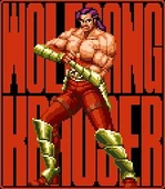 Wolfgang Krauser | SNK Wiki | Fandom