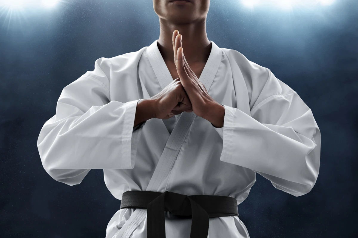 Karate | SNK Wiki | Fandom