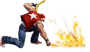 Terry Bogard/Move List | SNK Wiki | Fandom