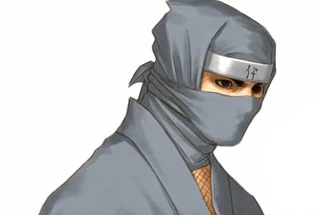 Iga ninja | SNK Wiki | Fandom