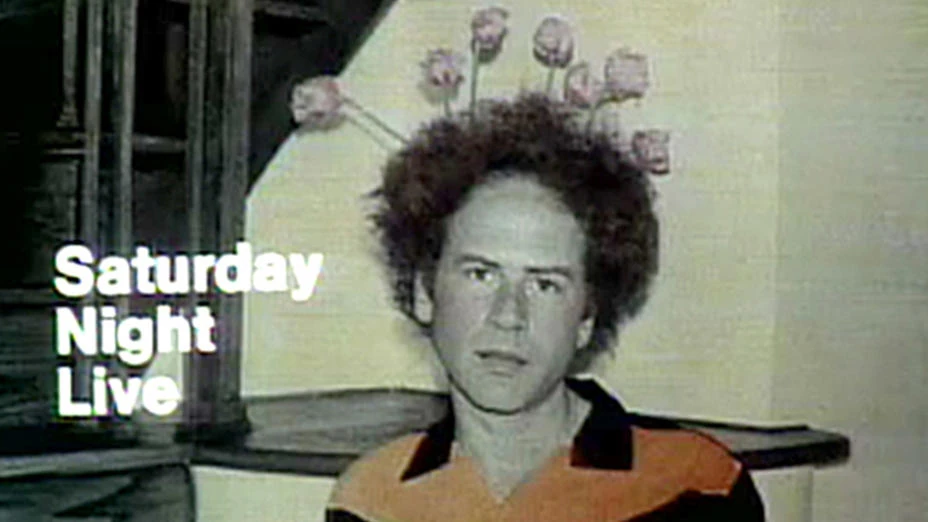 Art Garfunkel Hair