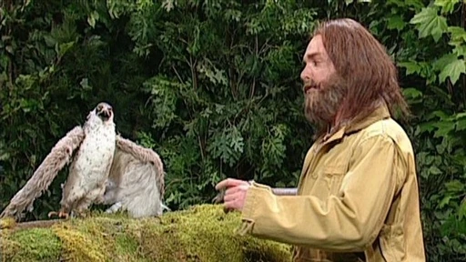 The Falconer | Saturday Night Live Wiki | Fandom