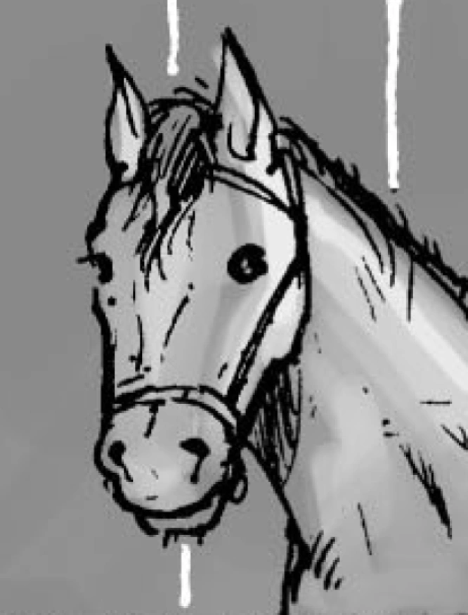 Rick's Horse (TWDF) | SnopiShark Wiki | Fandom