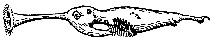 Stinking Trumpet Snouter | Museum of the Darwin Institute of Hy-Yi-Yi ...