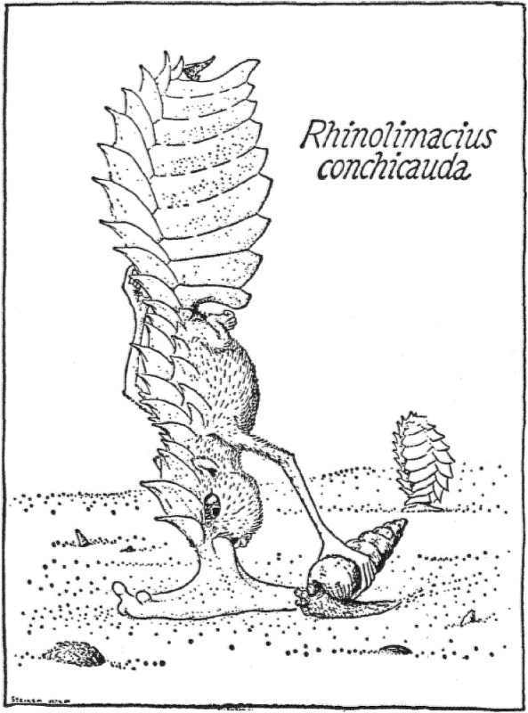 Armor-tailed slime Snouter | Museum of the Darwin Institute of Hy-Yi-Yi ...