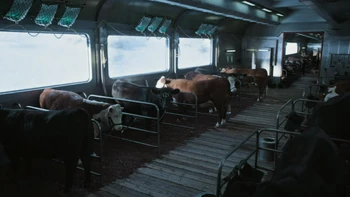 Cattle Car | Snowpiercer Wiki | Fandom